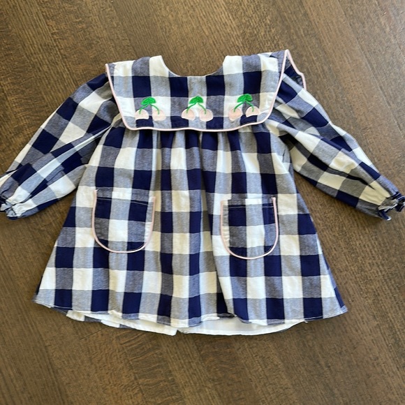 Posh Pickle | Dresses | Blue Plaid Cherry Embroidered Dress | Poshmark